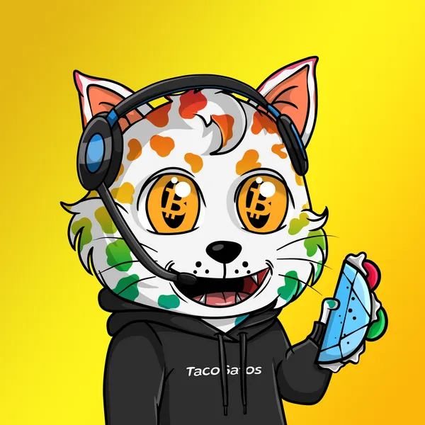 Taco Gatos, prix et floor des NFT